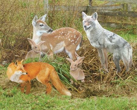Predator Hunting with Decoys | Grand View Outdoors