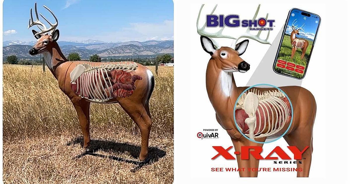 BIGshot Archery X-Ray Series 3D Targets | Grand View Outdoors