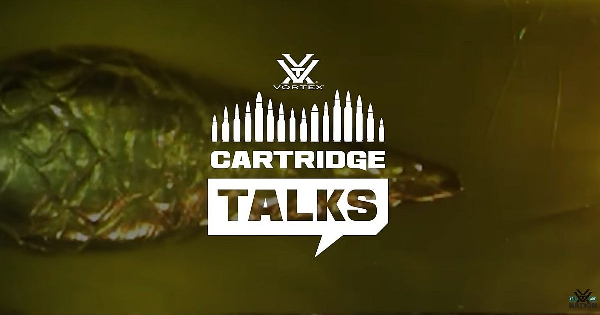 Video: 3 Popular Big-Game Bullet Styles Tested… | Grand View Outdoors