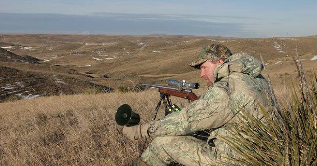 What is your favorite predator hunting call? | Grand View Outdoors